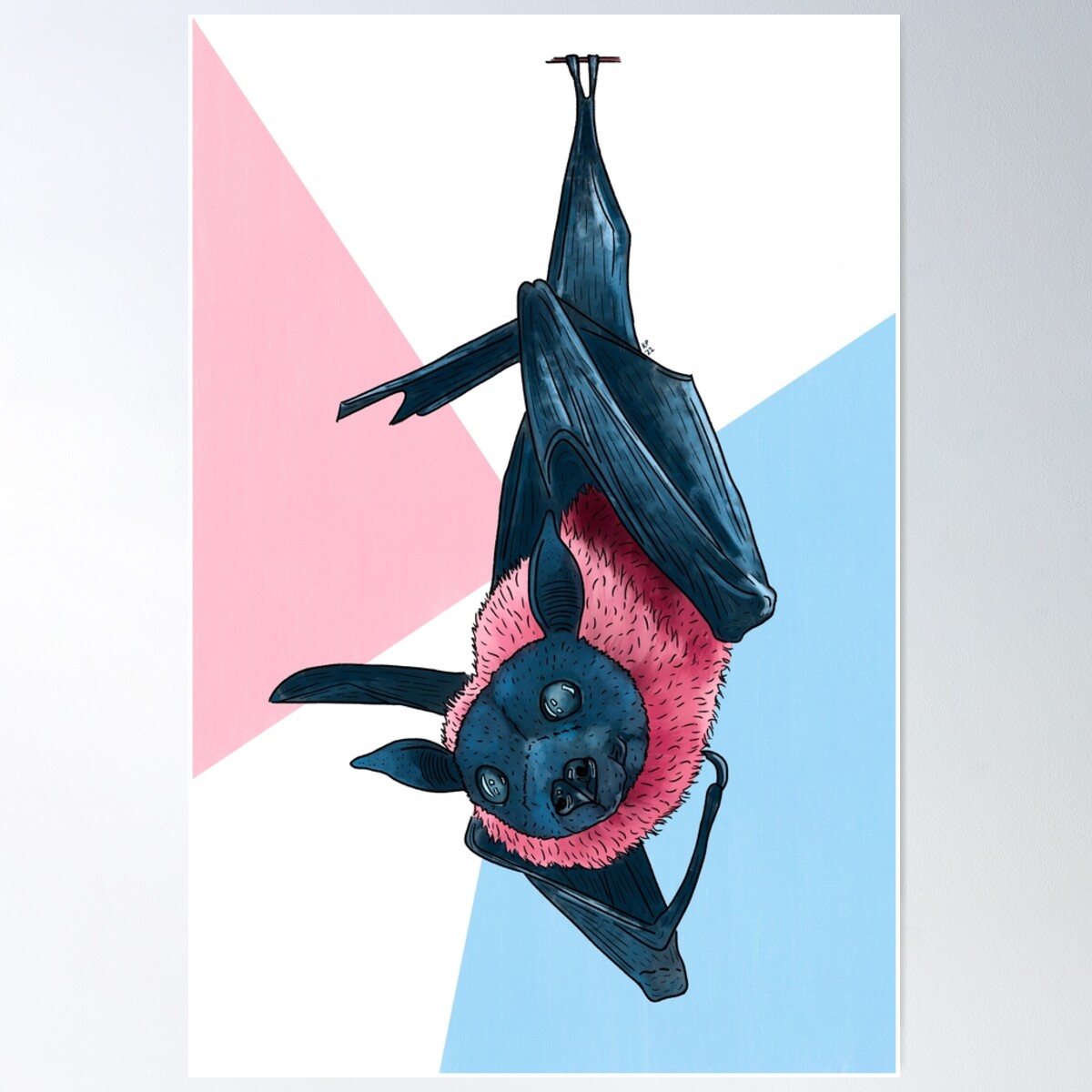 Transgender Fruit Bat Trans Flag Poster Wall Art, Modern Wall Decor For ...