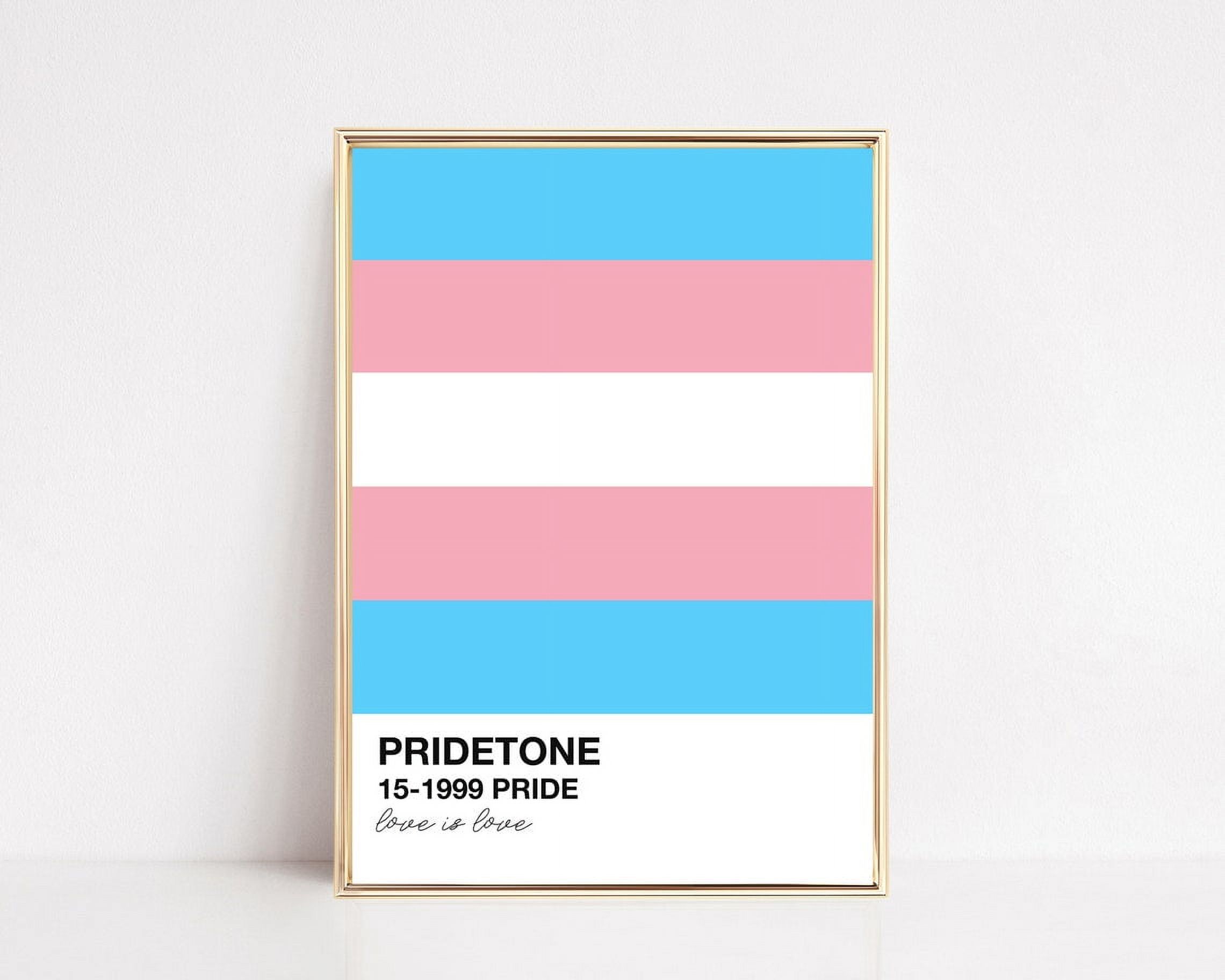 Transgender Gift Lgbtq Poster Pride Trans Pride Flag Queer Art Trans ...