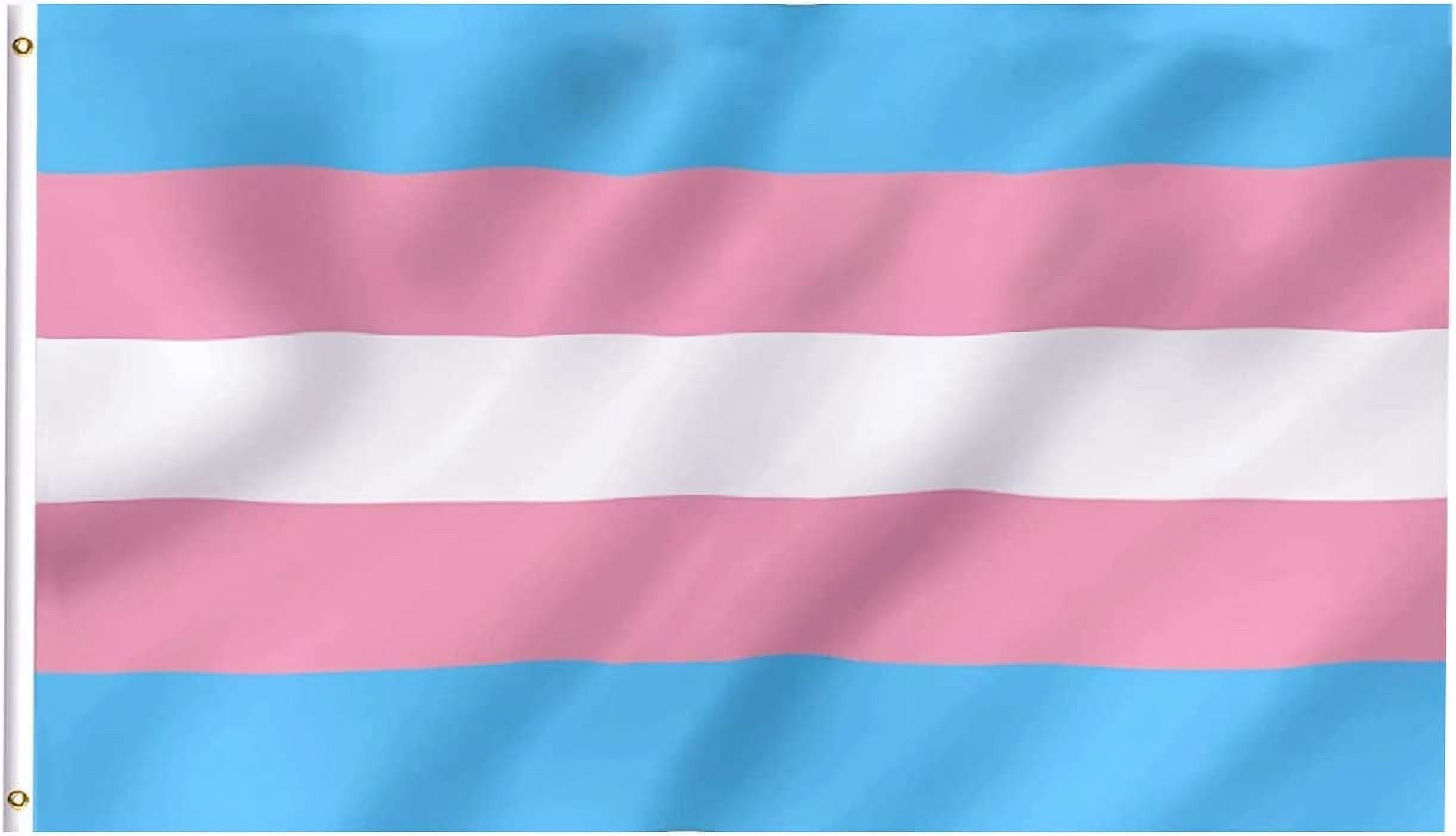 Transgender Pride Flag, 3Ply Polyester Heavy Duty Double Sided Banner ...
