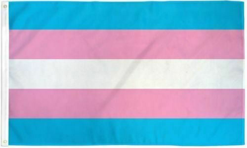 Transgender Pride Flag 3x5ft with Grommets LGBTQIA Trans Pride 100D ...