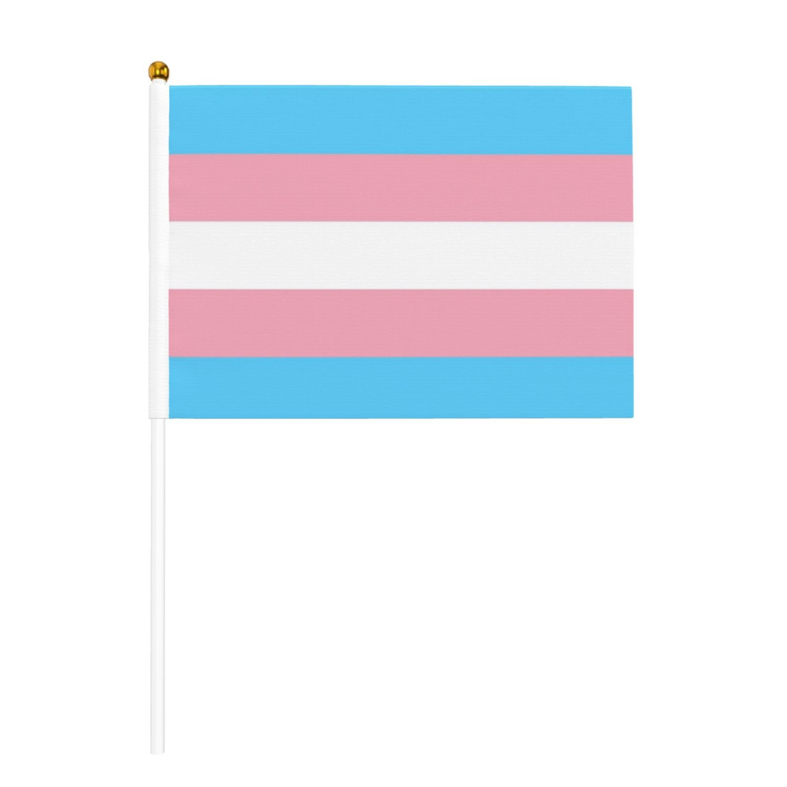 Transgender Pride Flag Flag Small Mini Hand Held Flags Small Miniature ...