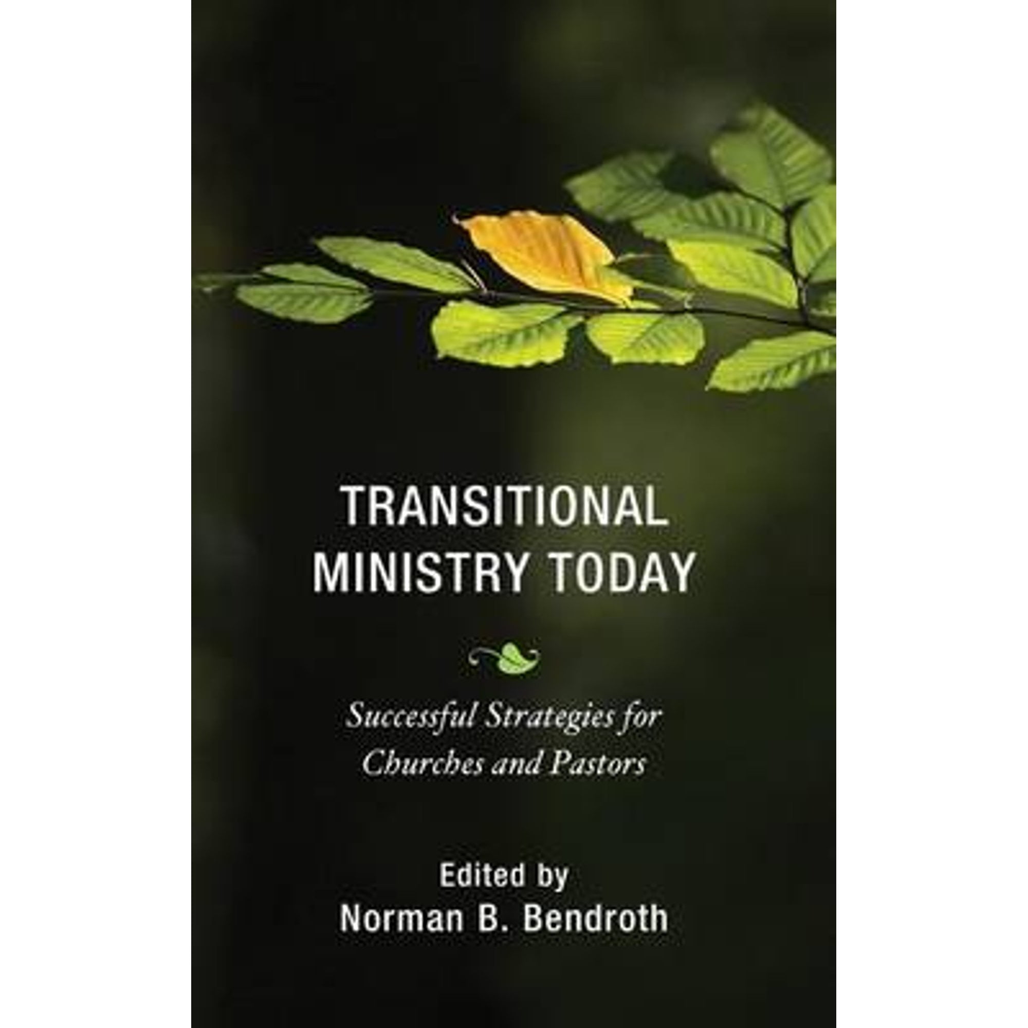 Pre-Owned Transitional Ministry Today: Successful Strategies for ...