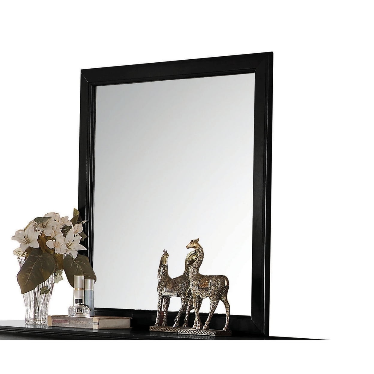 Transitional Style Mirror with Raised Wooden Frame Black and Silver ...