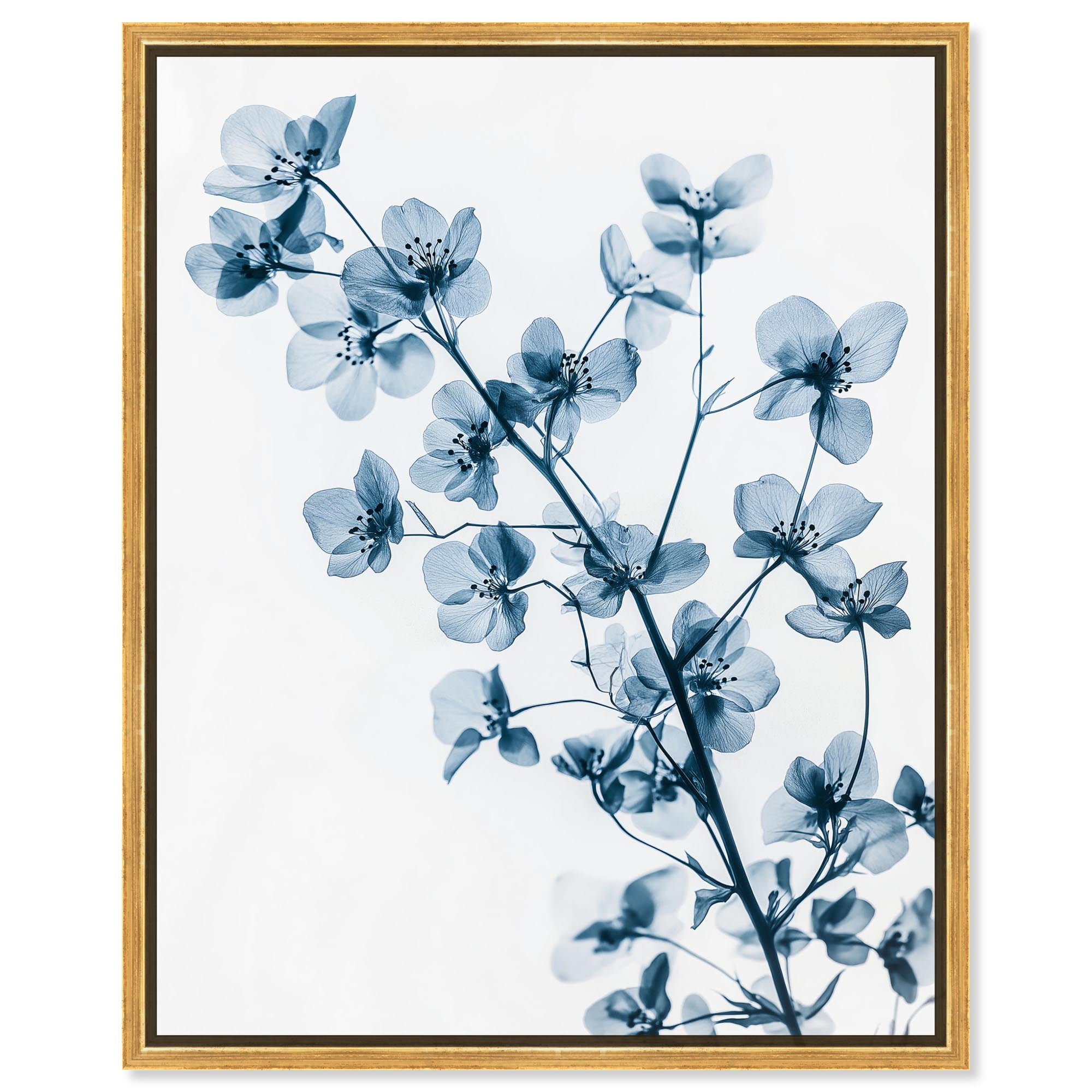 Translucent Petals II Canvas Minimalist Florals by Art Remedy, Gold ...