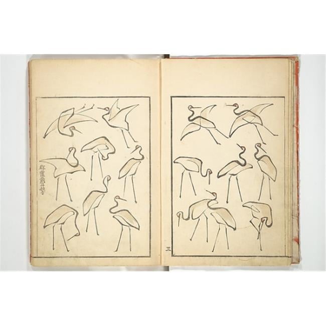 Transmitting The Spirit Revealing Form of Things - Picture Album of ...