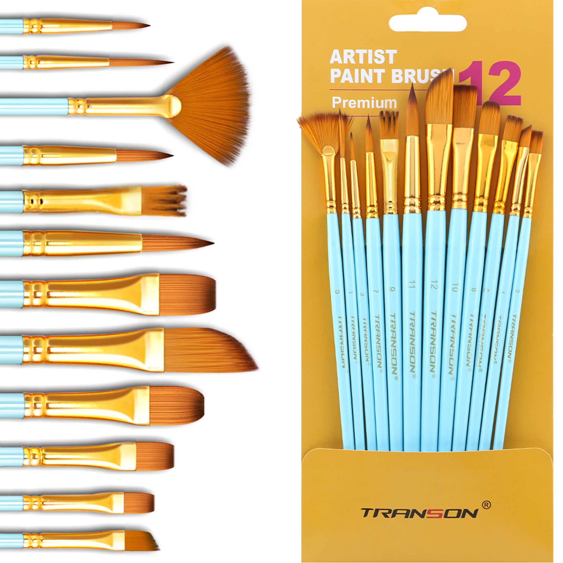 Transon Art Painting Brush Assorted Set of 12 for Acrylic Watercolor ...
