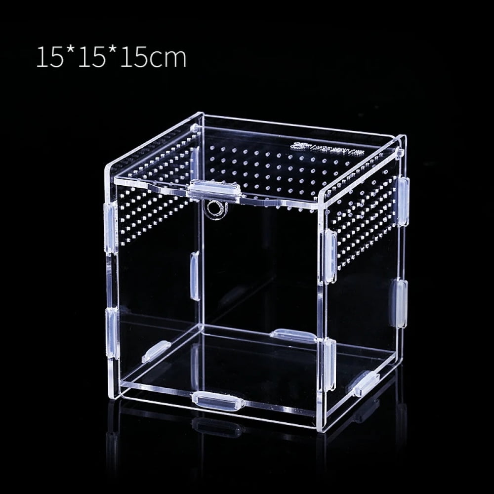 Transparent Acrylic Breeding Box Reptiles Amphibious Lizards Jumping ...