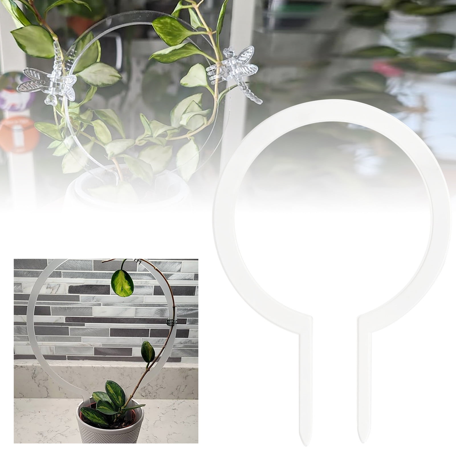 Transparent Acrylic Plant Support Frame | Circular PMMA Bracket for Potted Plants | High ...
