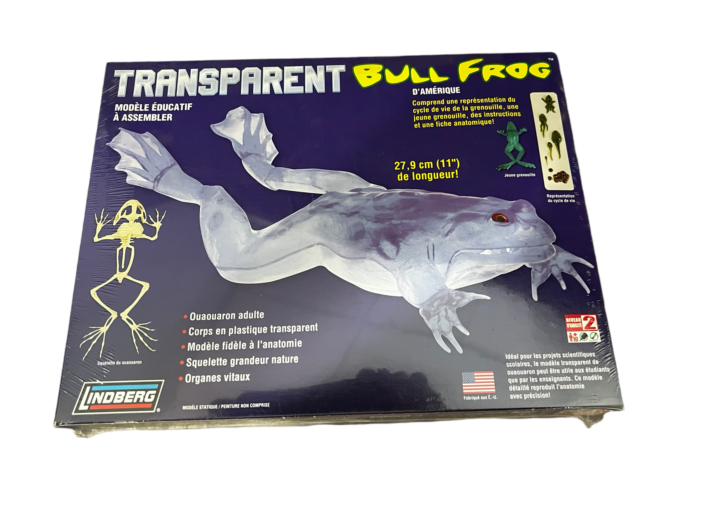 Transparent Bull Frog 11" - Walmart.com