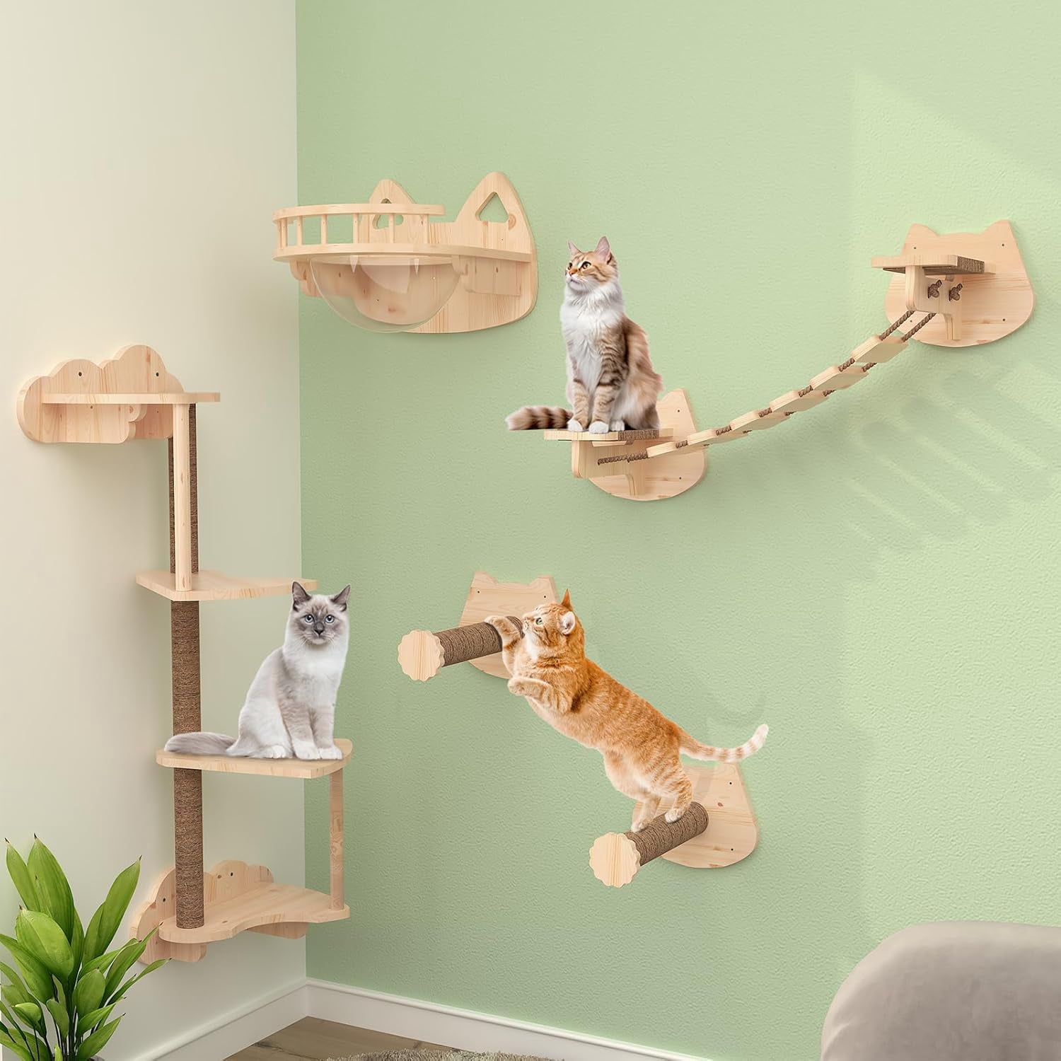 Transparent Capsule Cat Wall Furniture Set of 3, Cat Shelves with 2 ...