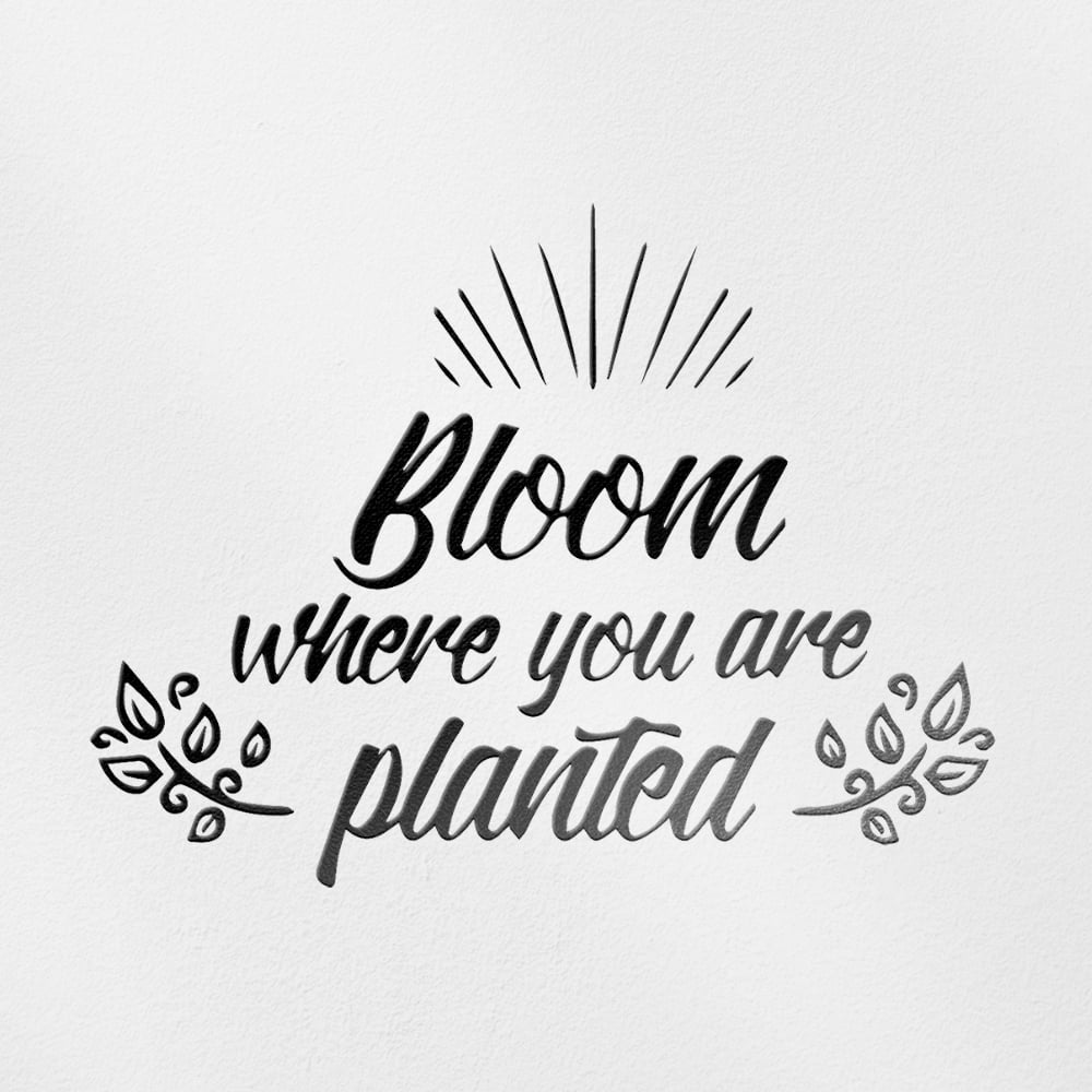 Transparent Decal Stickers Of Bloom Where You Are Planted (Black ...