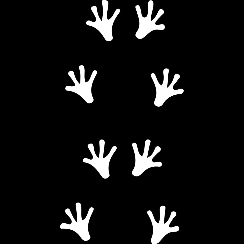 Transparent Decal Stickers Of Multiple Frog Footprints (White) Premium ...
