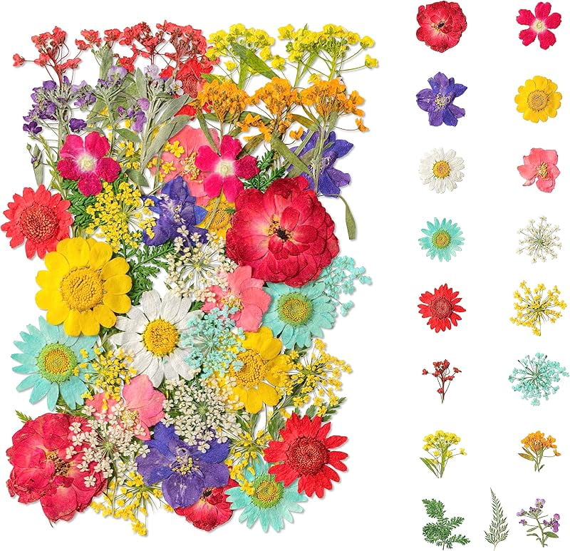 Transparent Dried Flower Bookmarks, Kaluofan 40Pcs Dried Flower ...