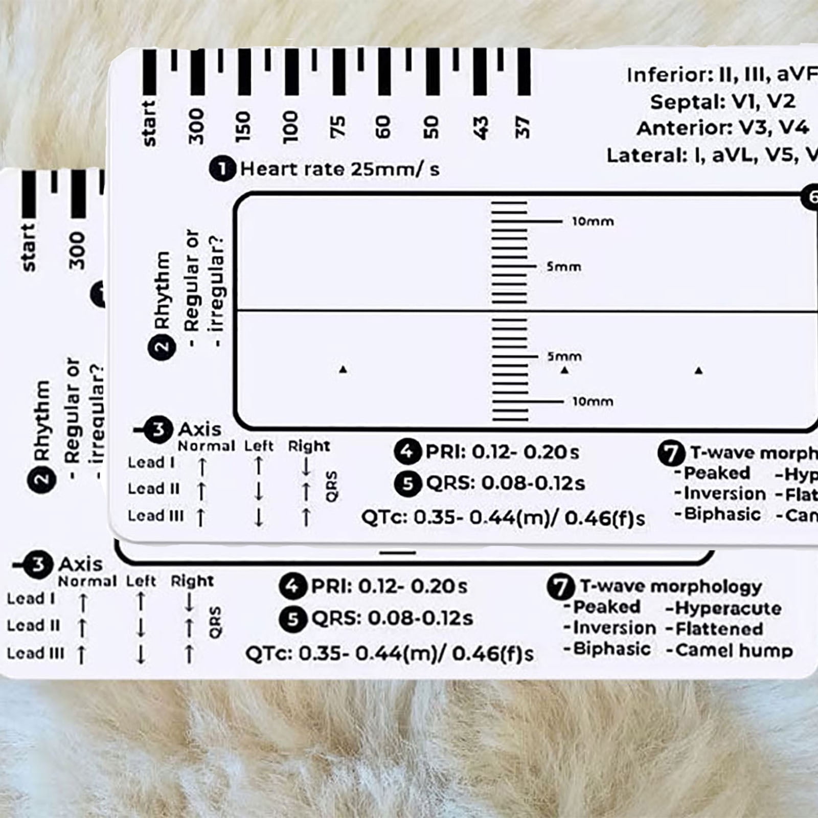 Transparent EKG Caliper Measurement Tool, 7 Step Ruler for ECG/EKG ...