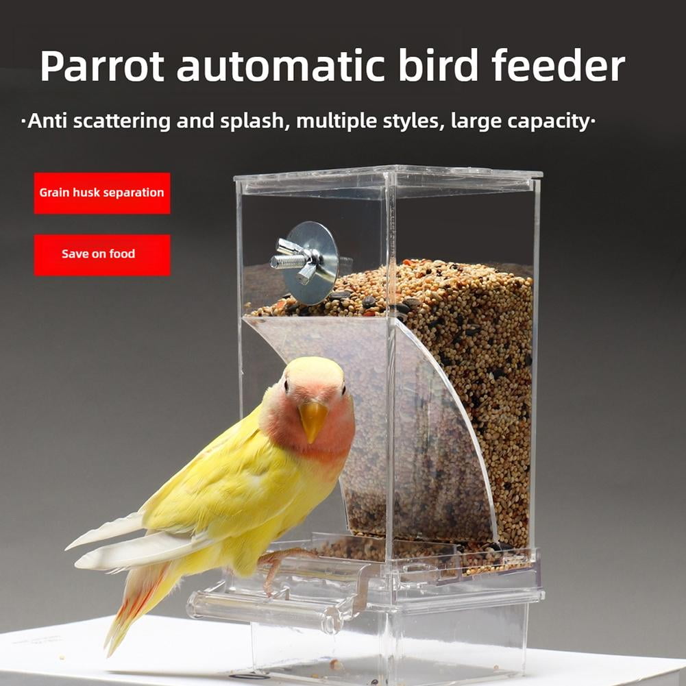 Transparent Feeder Parrot Bird Food Box Anti-Spill Automatic Feeder ...
