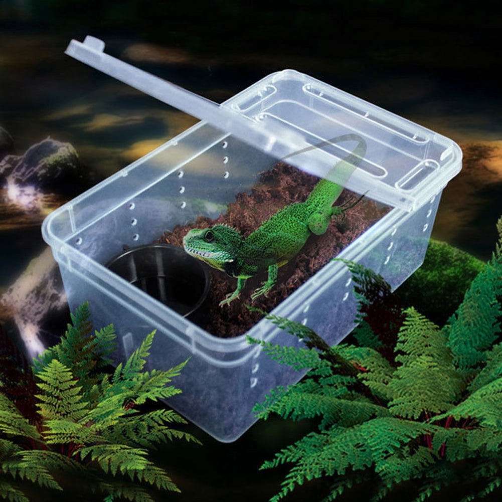 Transparent Feeding Box Reptile Box Amphibian for Snake Cage Lizard ...