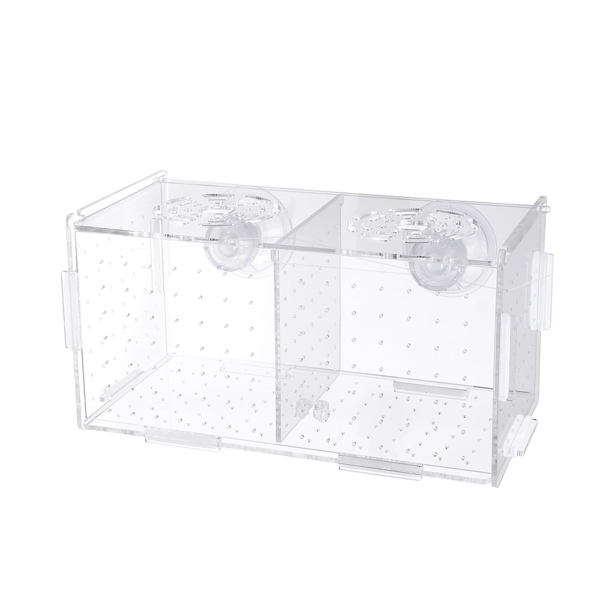 Transparent Fish Tank Breeding Isolation Box Aquarium Incubator ...