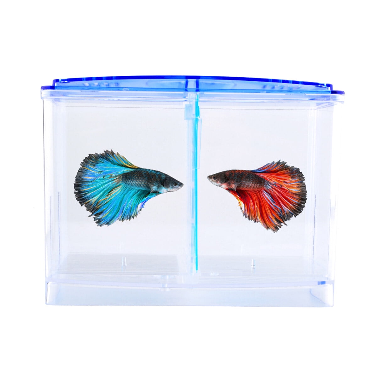 Transparent Functional Small Hatching Box Betta Ornamental Fish Habitat ...