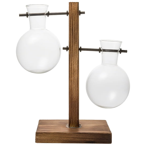 Hydroponic Vase