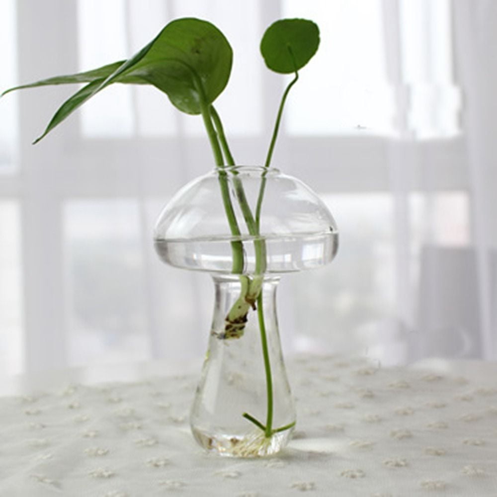 Transparent Glass Vase Hydroponic Container High Quality Flower ...