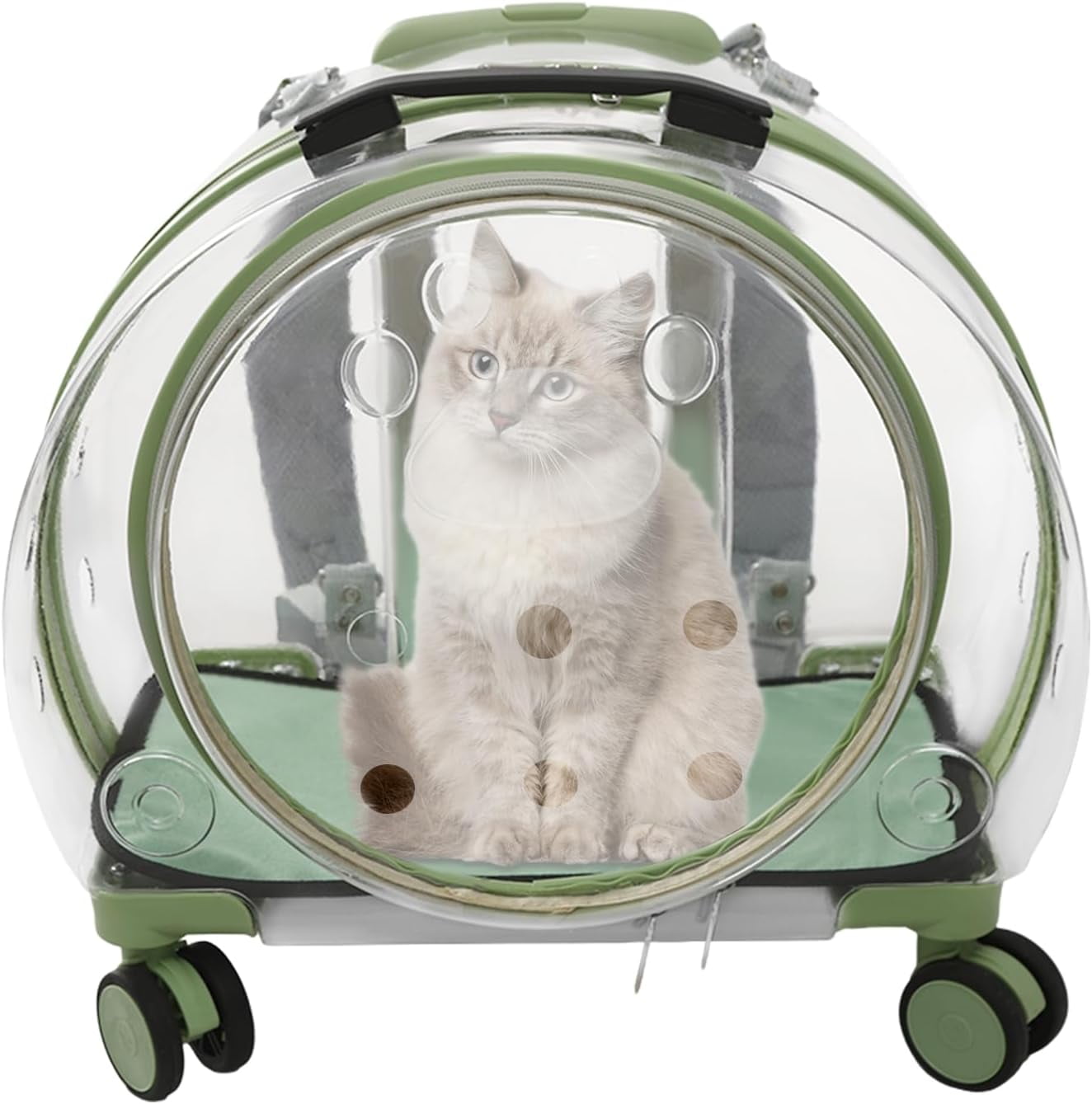 Transparent Hard Cat Carrier with Rolling Wheels, Fully Breathable Pet ...