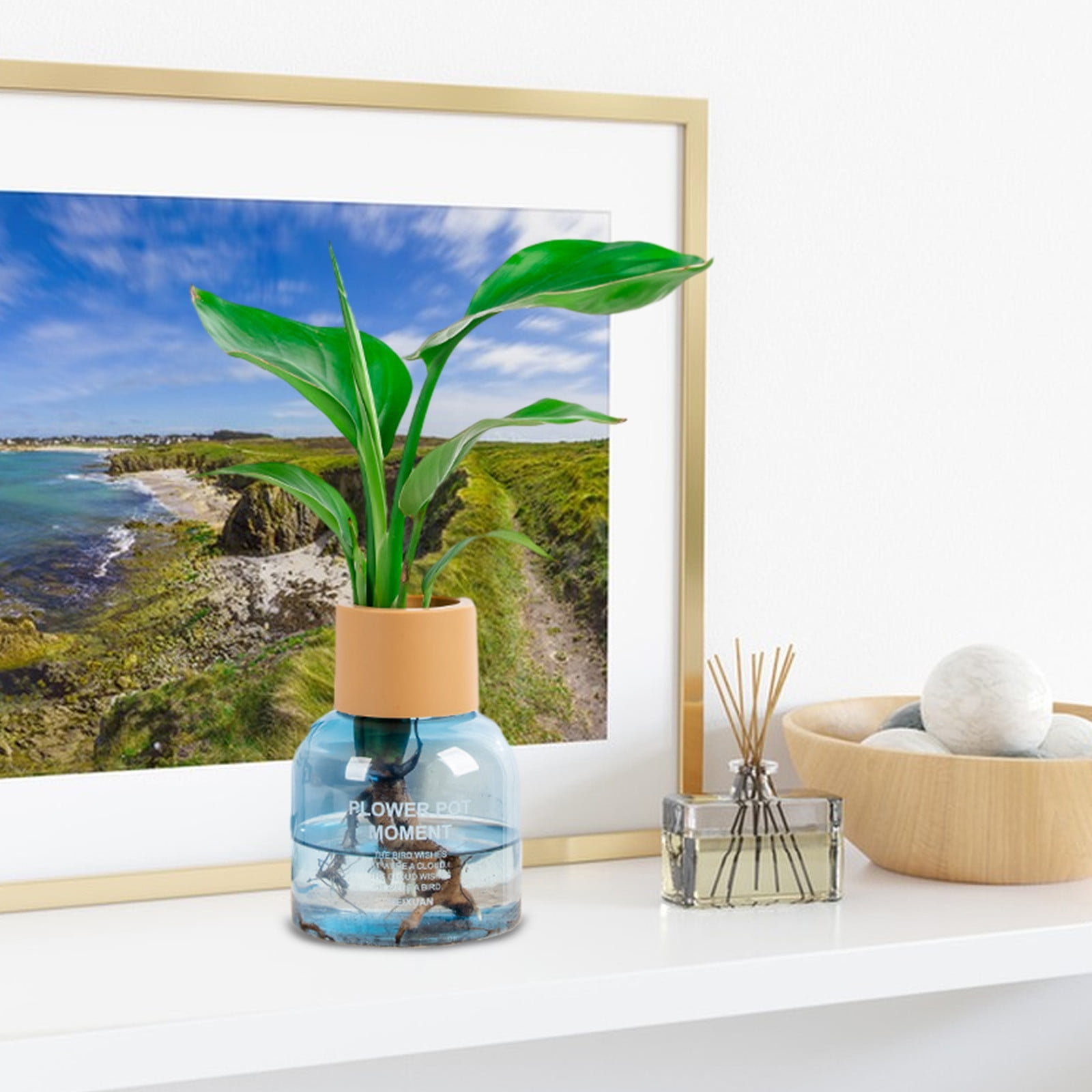 Transparent Hydroponic Plant Pots, Small Indoor Flower Pots, Desktop ...