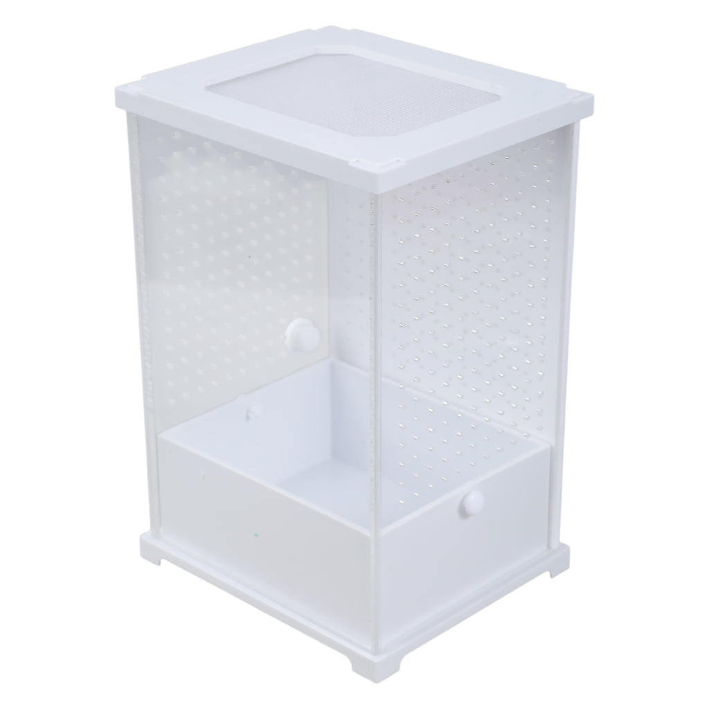 Transparent- Isopods Lizards Mantis- Invertebrates Insect Feeding Box ...