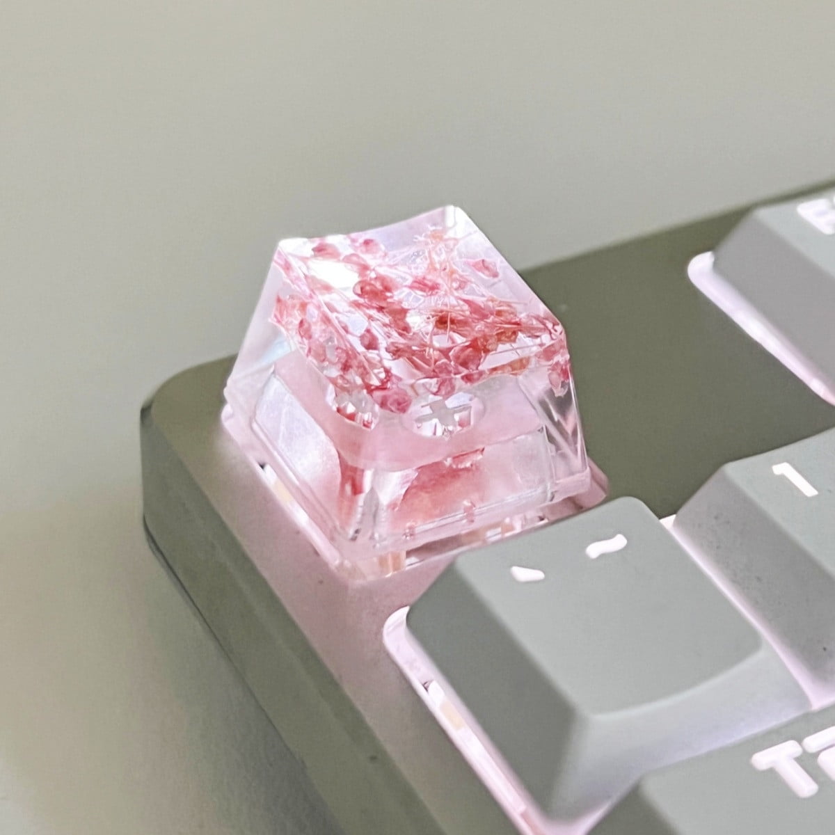 Transparent Keycaps, Hand Made Artisan Keycap with Dried Flower, Glue ...