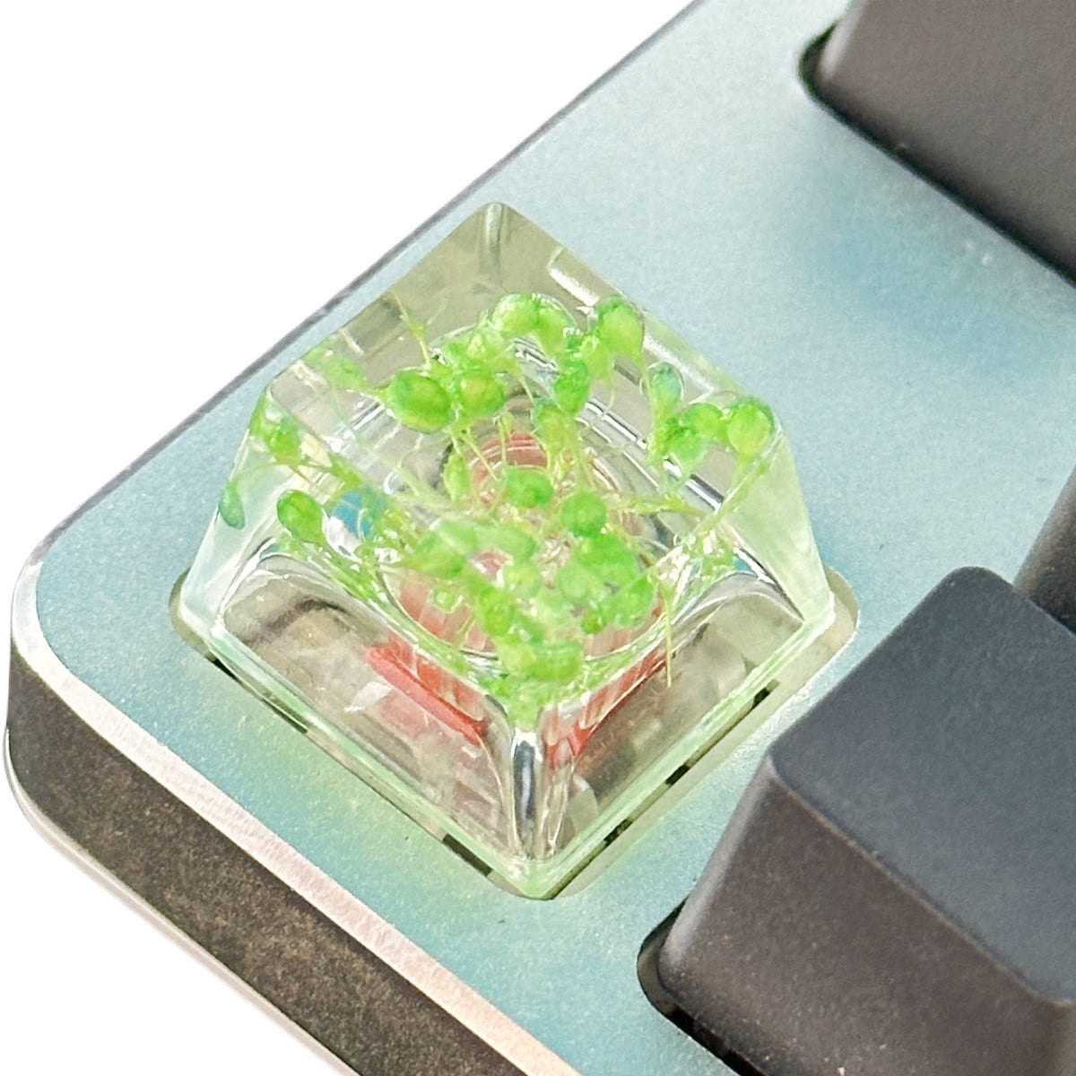 Transparent Keycaps, Hand Made Artisan Keycap with Dried Flower, Glue ...