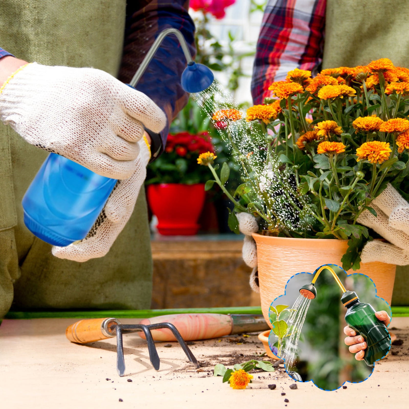 Transparent Long Neck Watering Can | Ergonomic Design | Precise Control ...