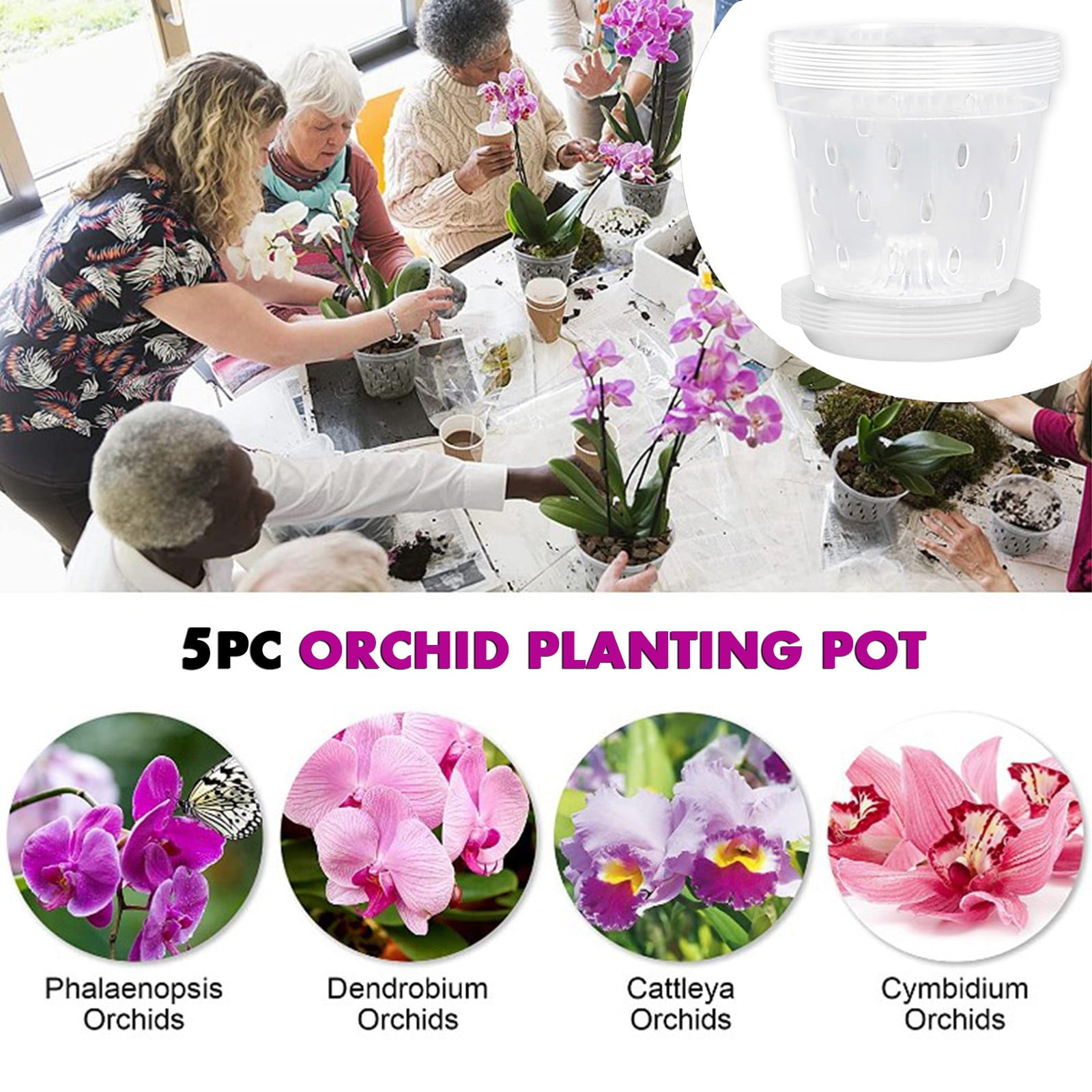 Transparent Orchid Planting Pots Set of 5 | Plastic Perforated Aeration ...