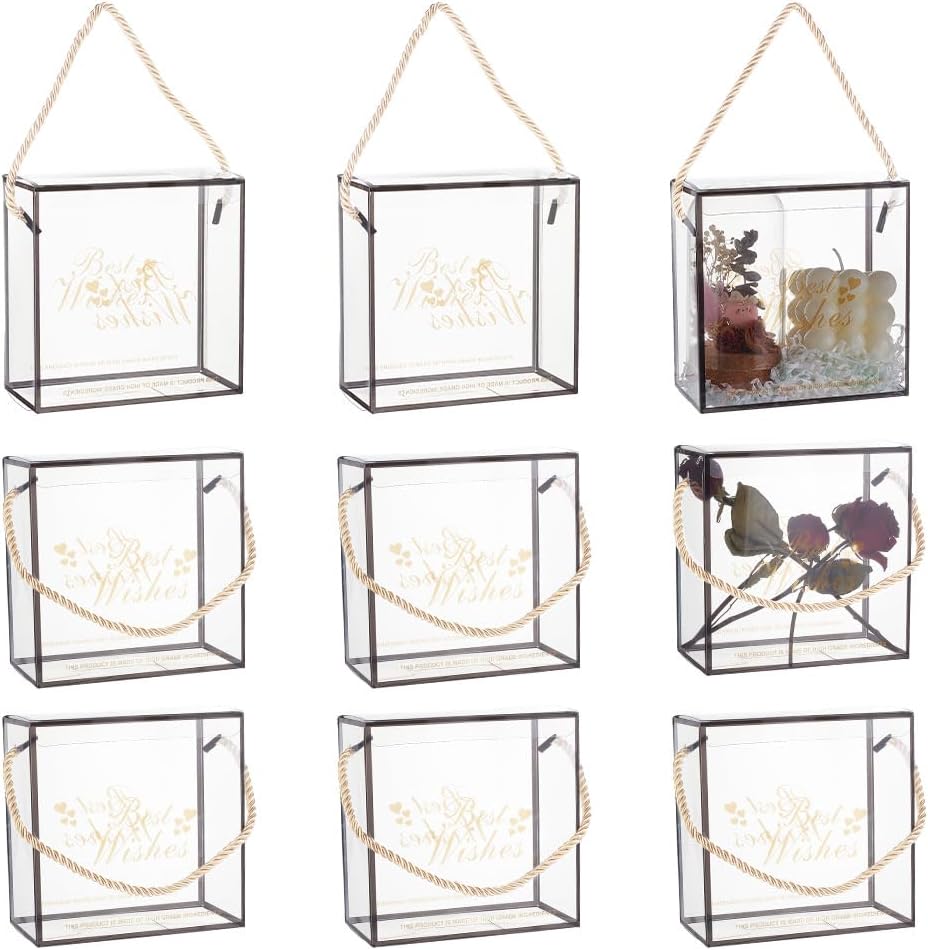 Transparent PET Candy Gift Boxes Goodies Storage Case with Rope Handle ...