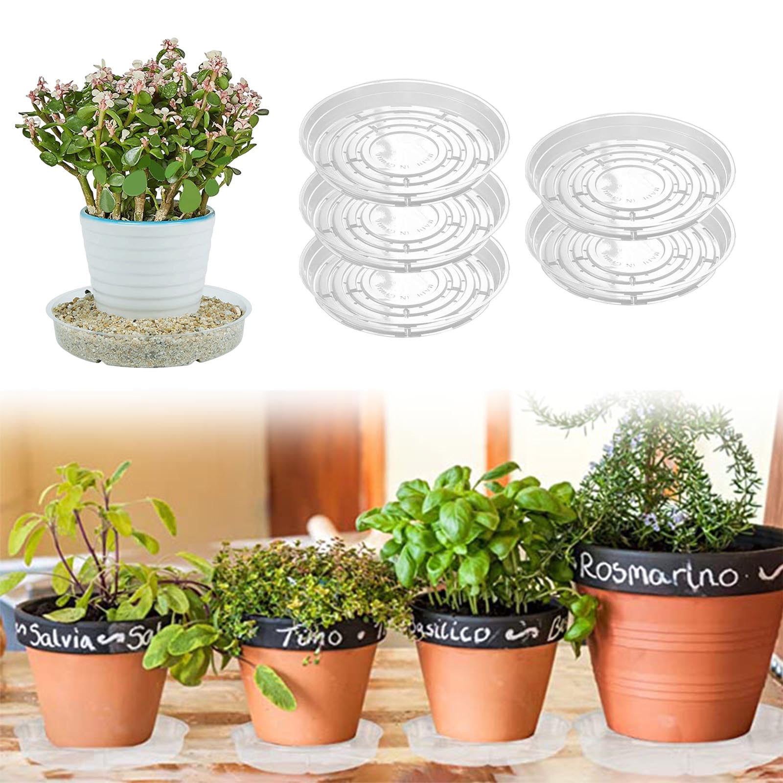 Transparent Plastic Plant Tray Set of 5, Suitable for Indoor and ...