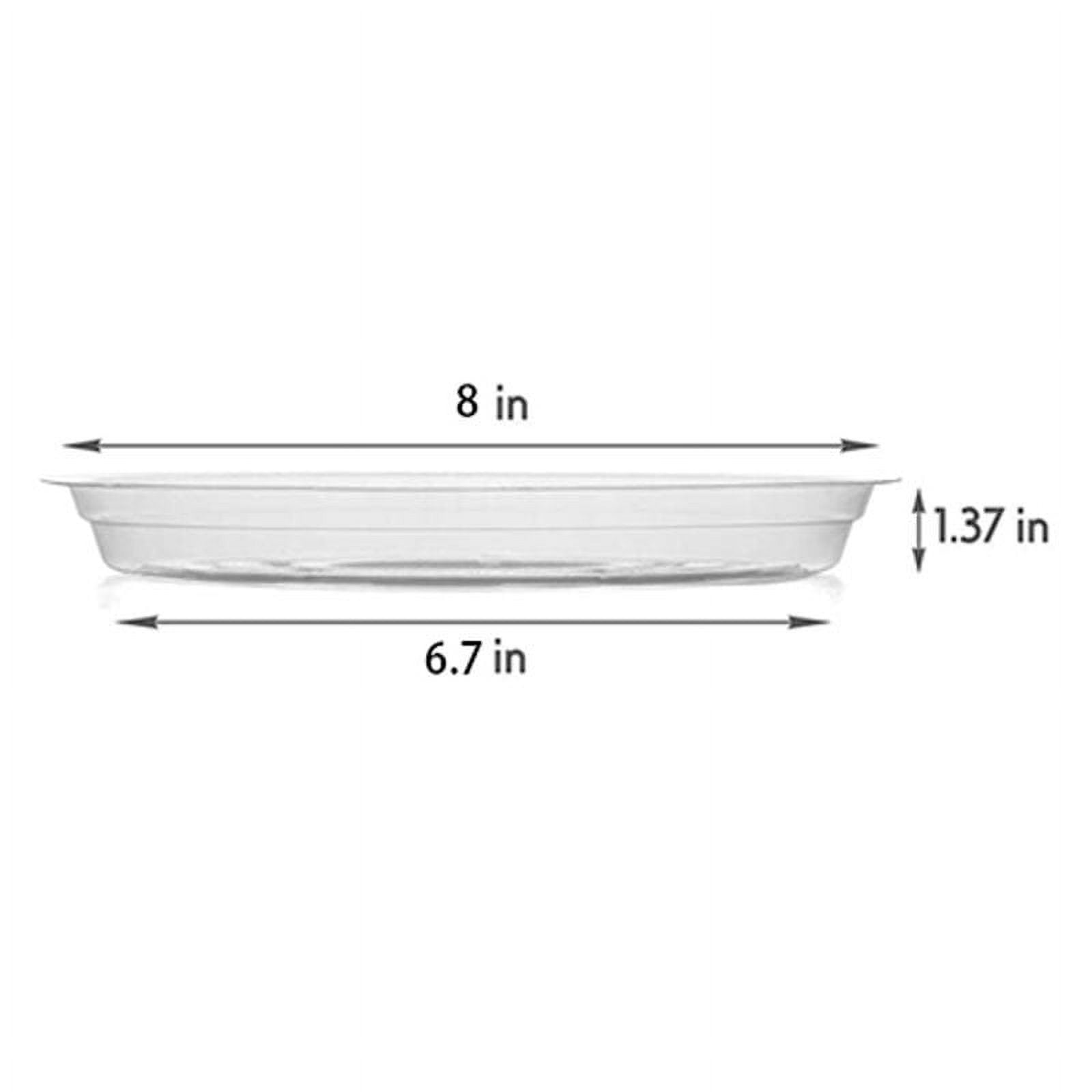 Transparent Plastic Plant Tray for Indoor and Outdoor Plants, Set of 5 ...