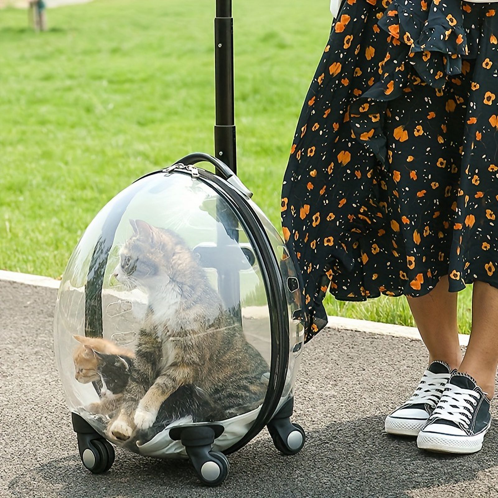 Transparent Rolling Cat Carrier With Handle For Pets - PC + Acrylic ...