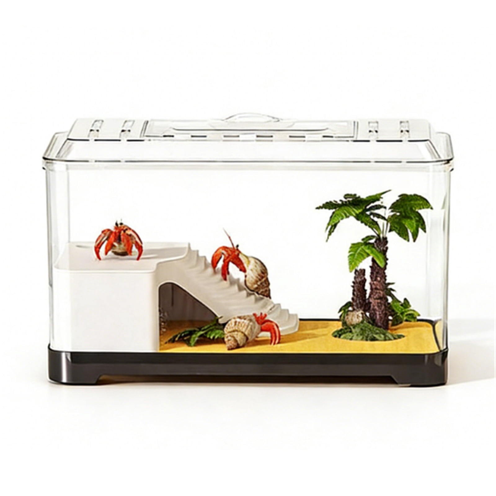 Transparent Turtle Viewing Tank Desktop Aquarium for Feeding and ...