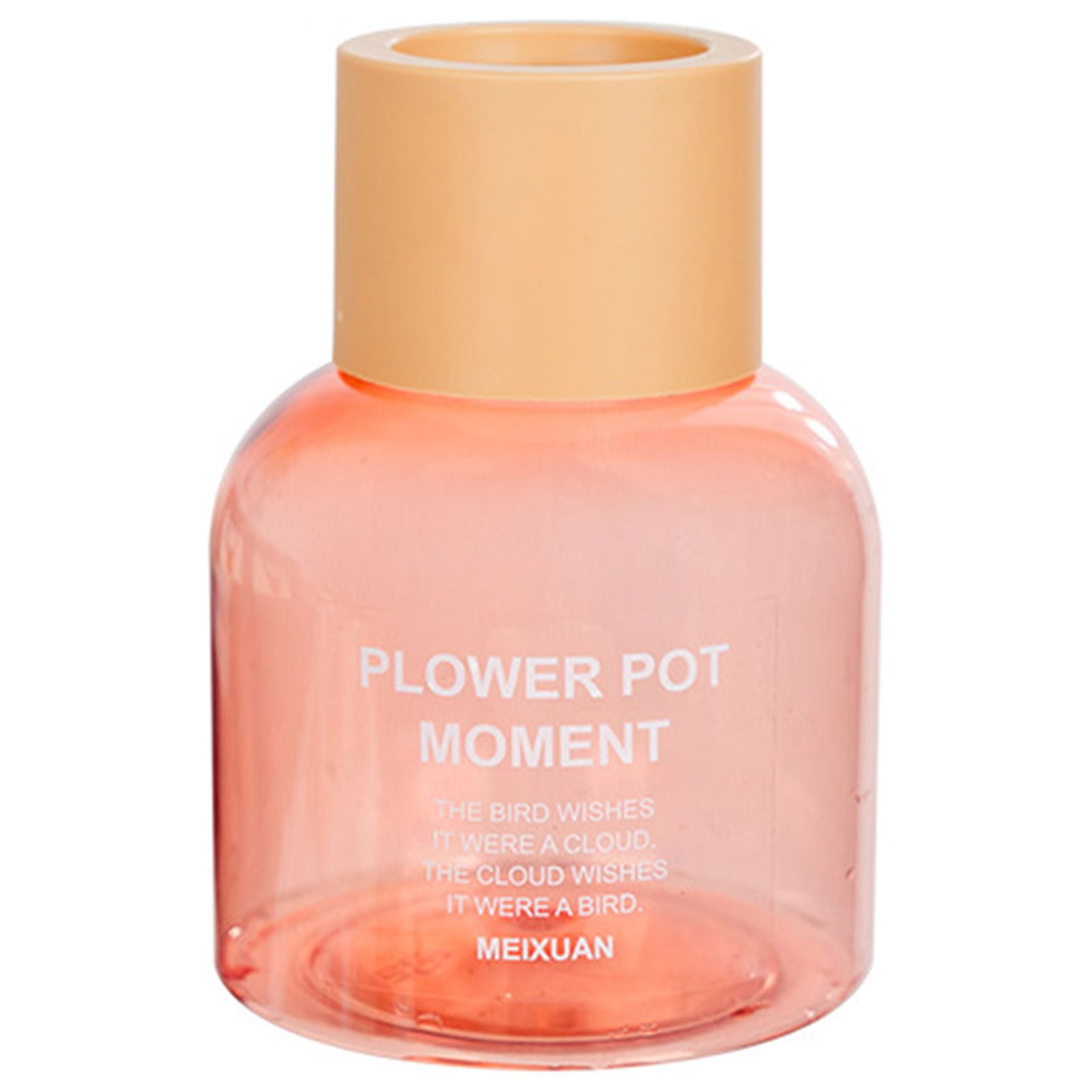 Transparent Water-Storage Small Potted Plant Pots, Transparent ...