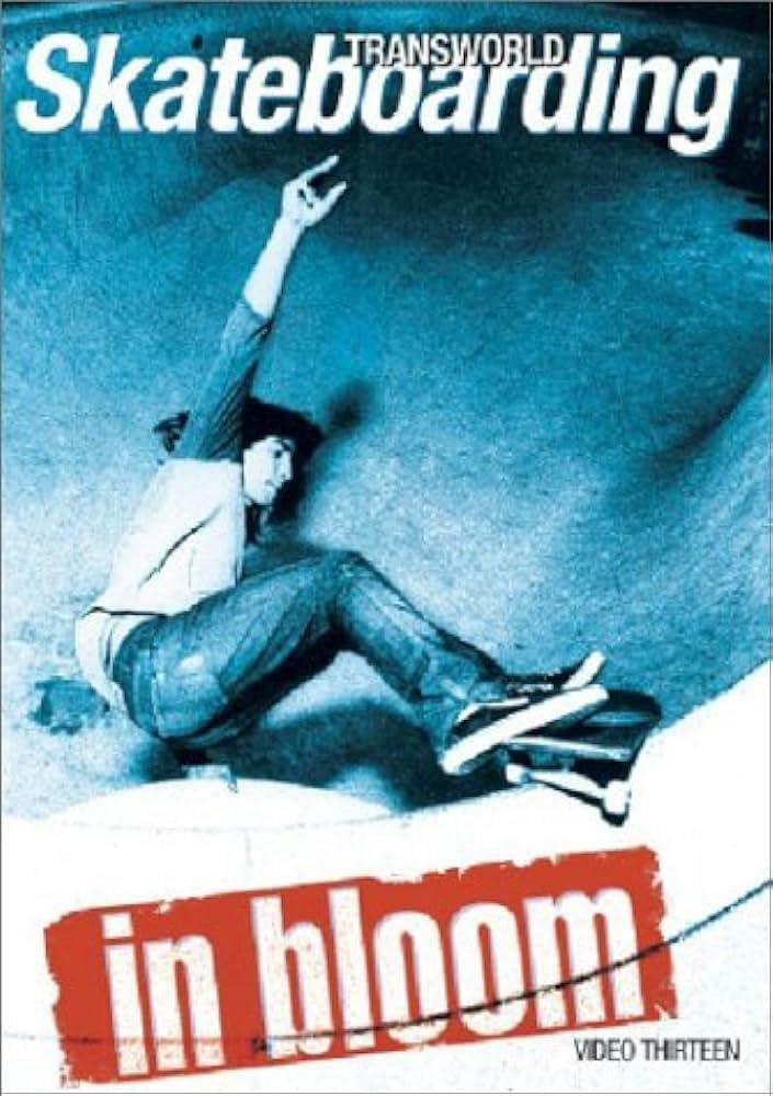 Skateboard Videos Dvd