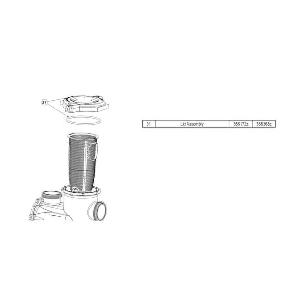 Trap Lid Assembly, IntelliFlo3 VSF, Almond 356172Z - Walmart.com