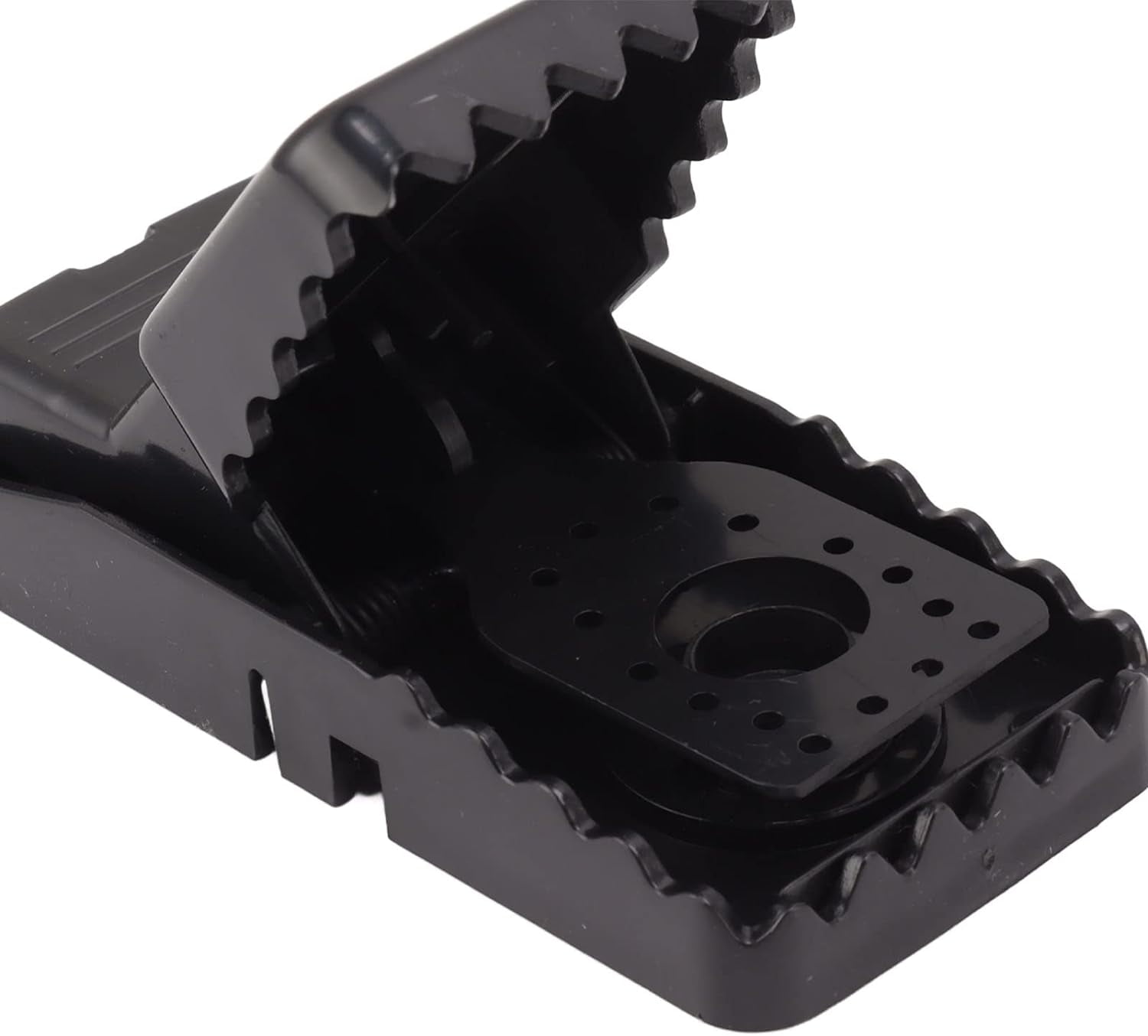 Trapper T-Rex Rat Trap, 12 Pack, Snap Trap with Interlocking Teeth ...