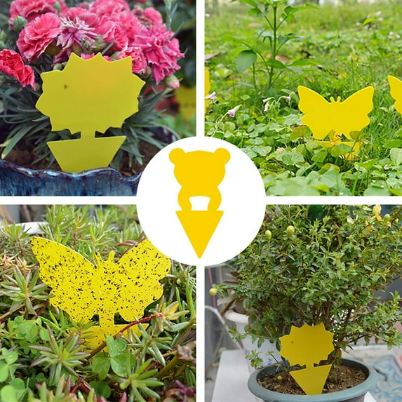 Traps Sticky Board Dual-Sided Sticky Traps Flying Plant Insect Catcher ...