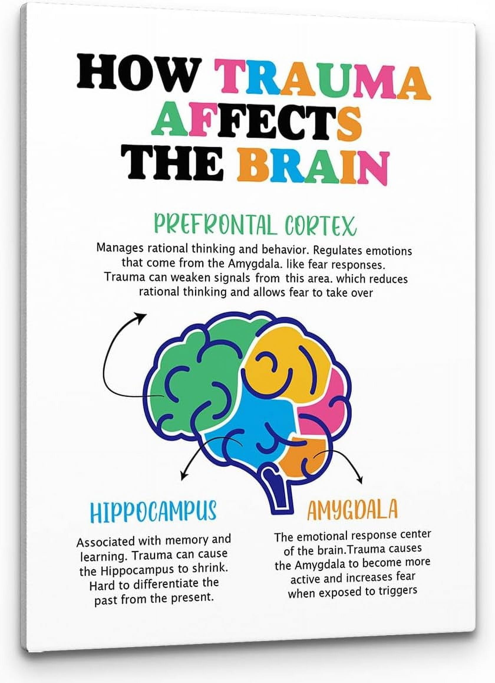 How Trauma Affects the Brain Mental Health Wall Art,Positive ...