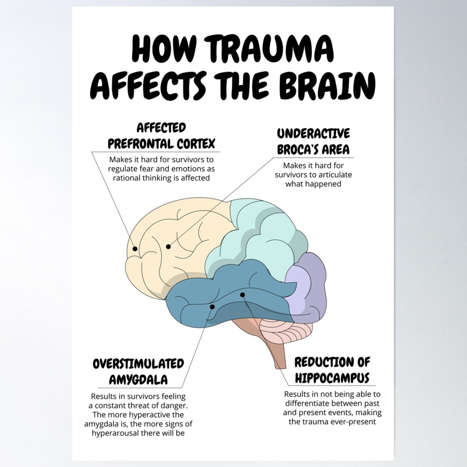How Trauma Affects The Brain Therapist Office Decor Ptsd Recovery Cbt ...