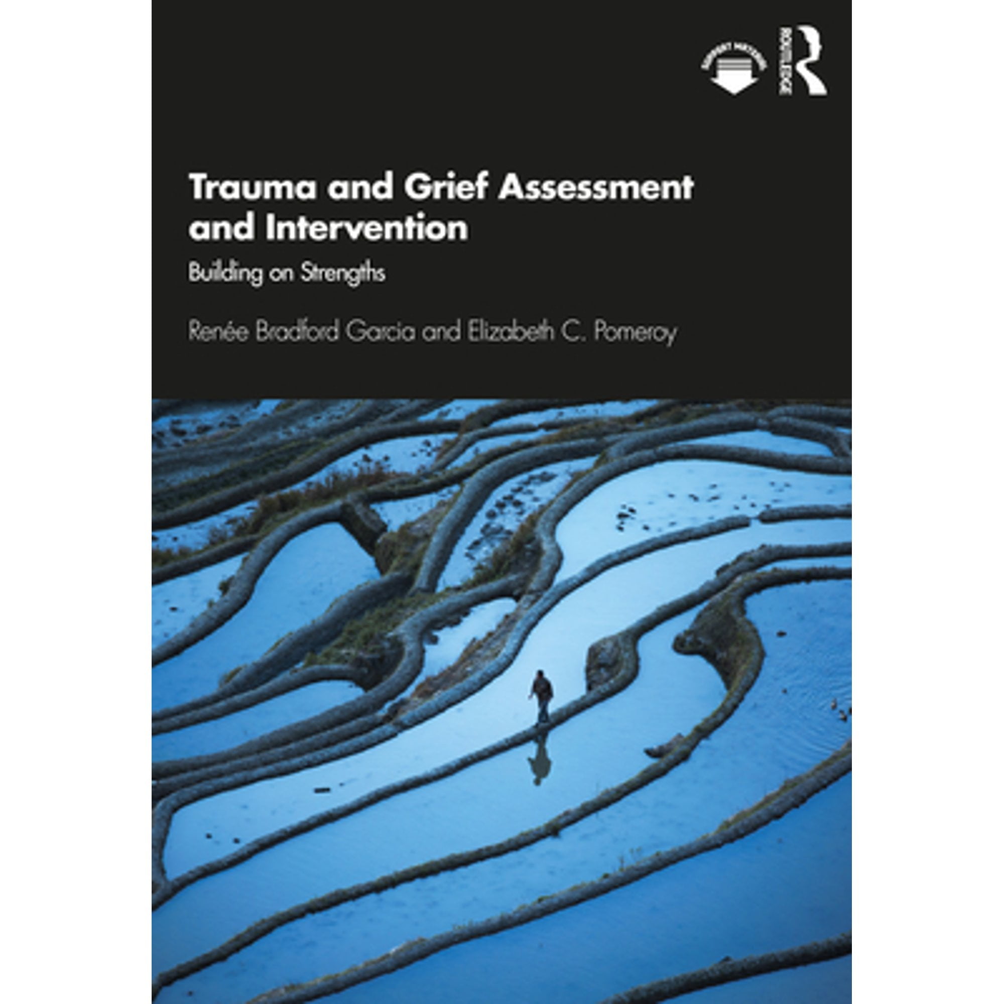 Pre-Owned Trauma and Grief Assessment and Intervention: Building on ...