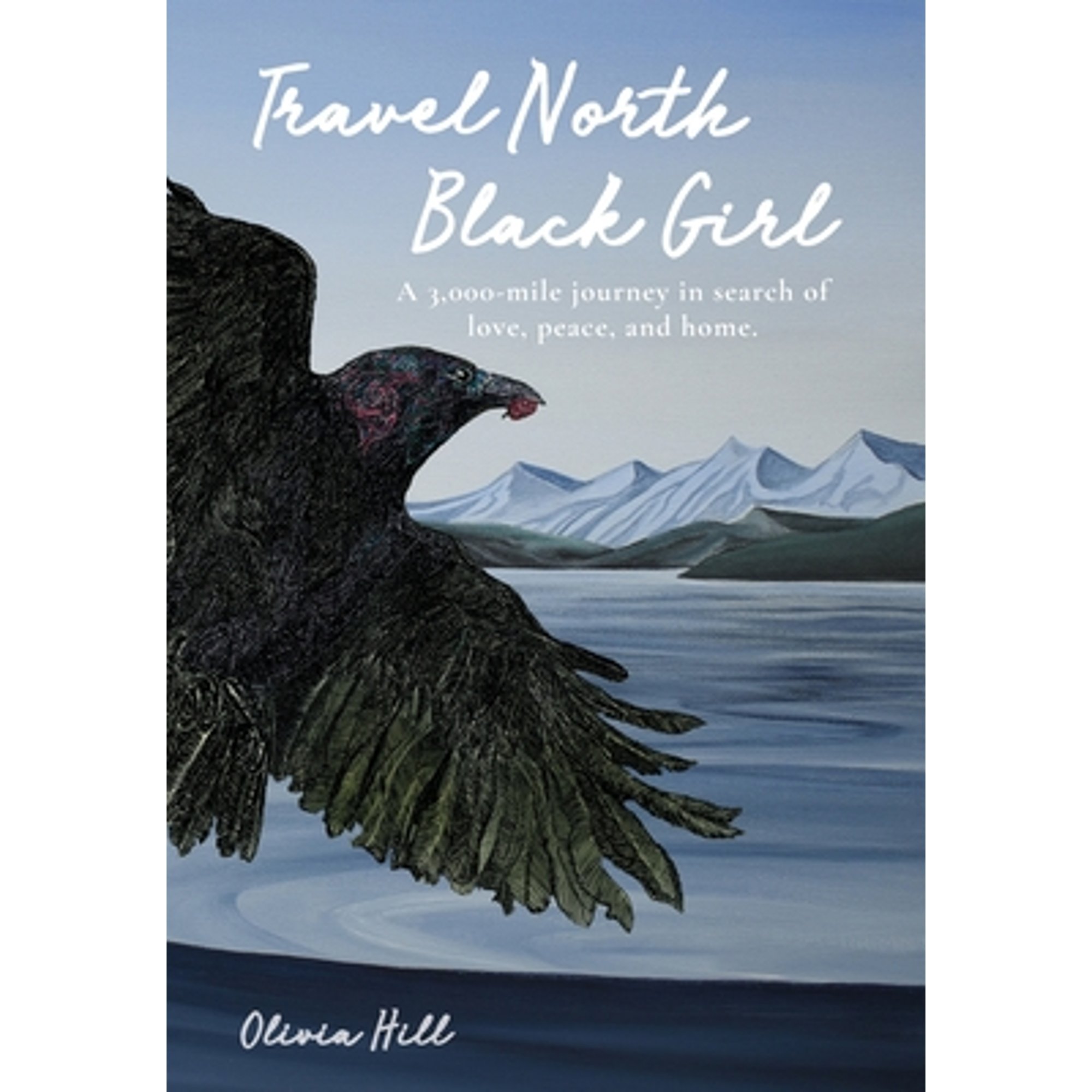 Pre-Owned Travel North Black Girl (Hardcover 9781942337263) by Olivia Hill - Walmart.com