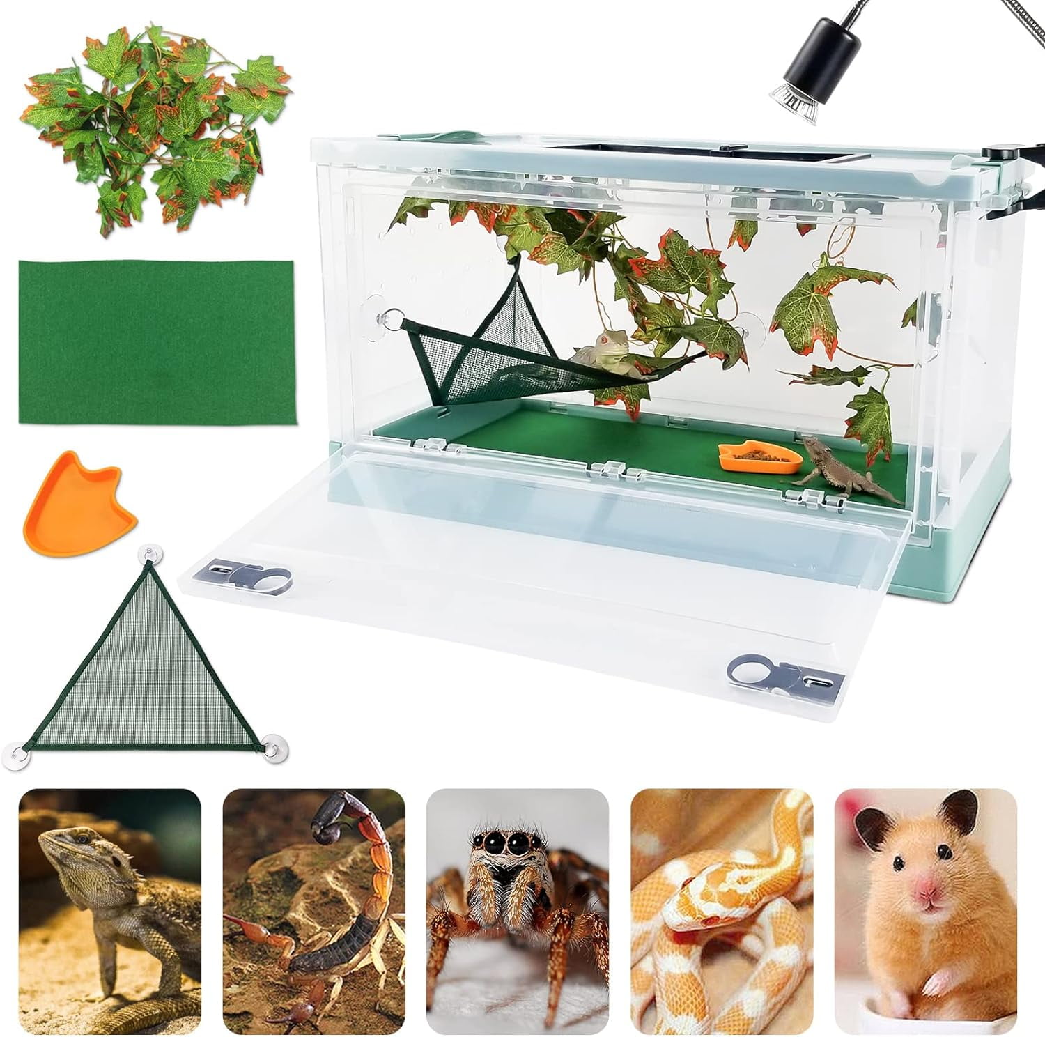 Travel Portable Foldable Terrarium Kits for Reptiles -Heat-Resistant ...