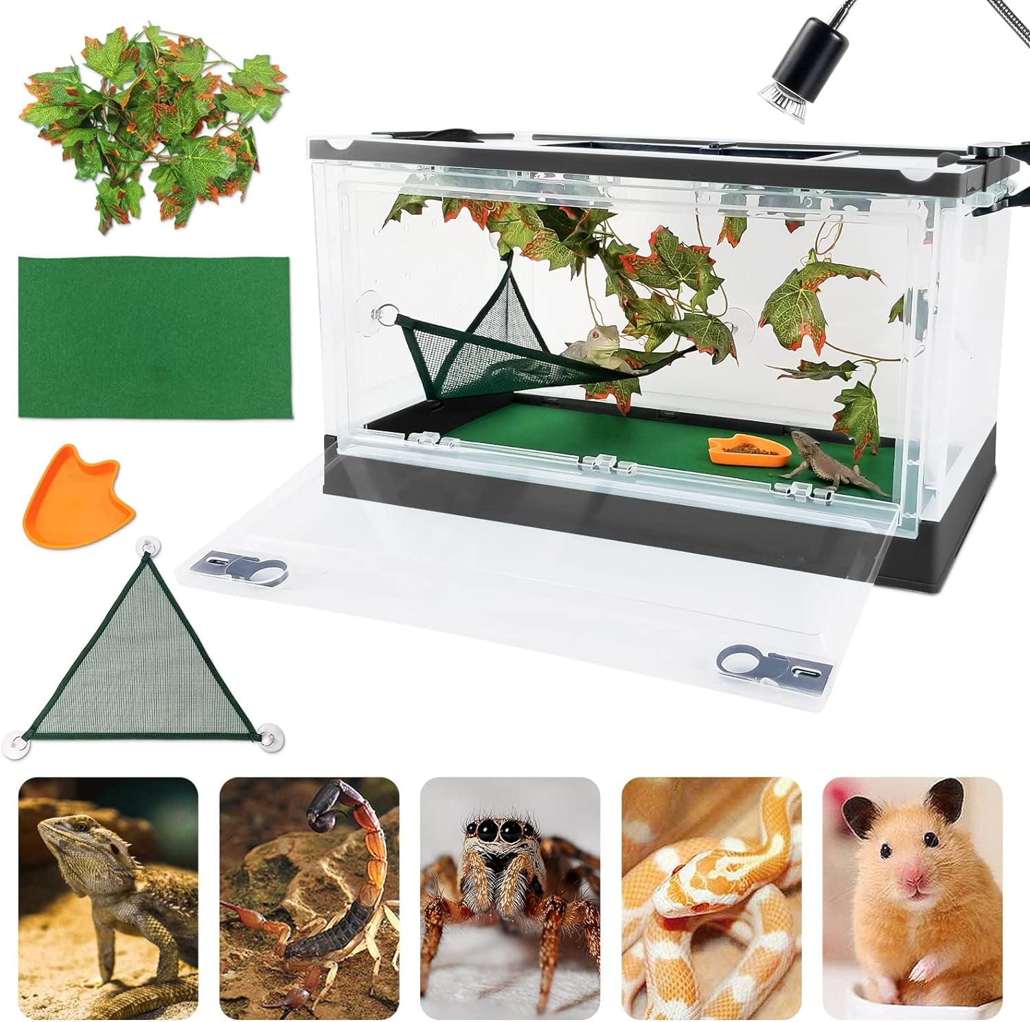 Travel Portable Foldable Terrarium Kits for Reptiles -Heat-Resistant ...