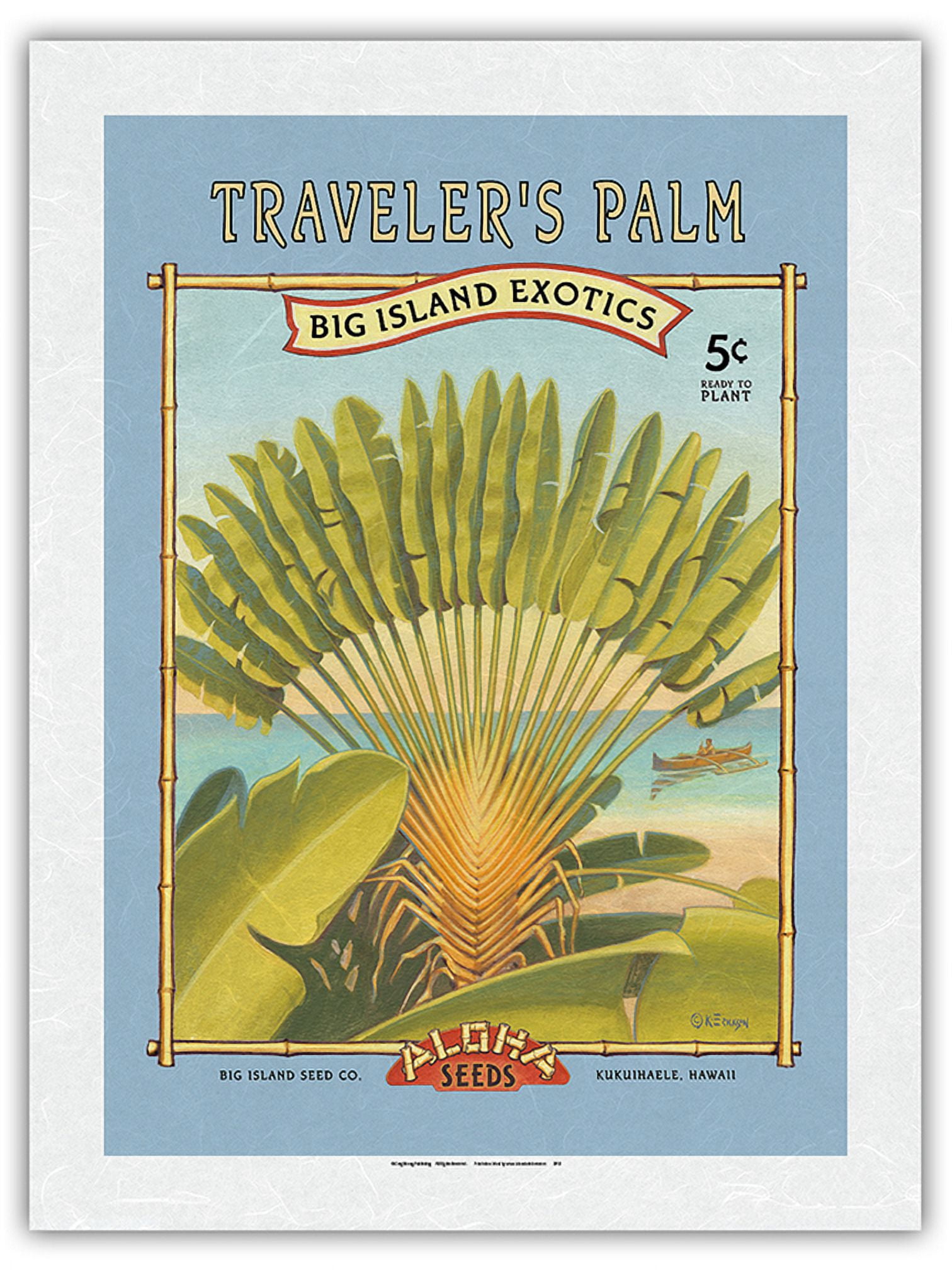 Traveler's Palm - Aloha Seeds - Big Island Seed Company - Big Island ...