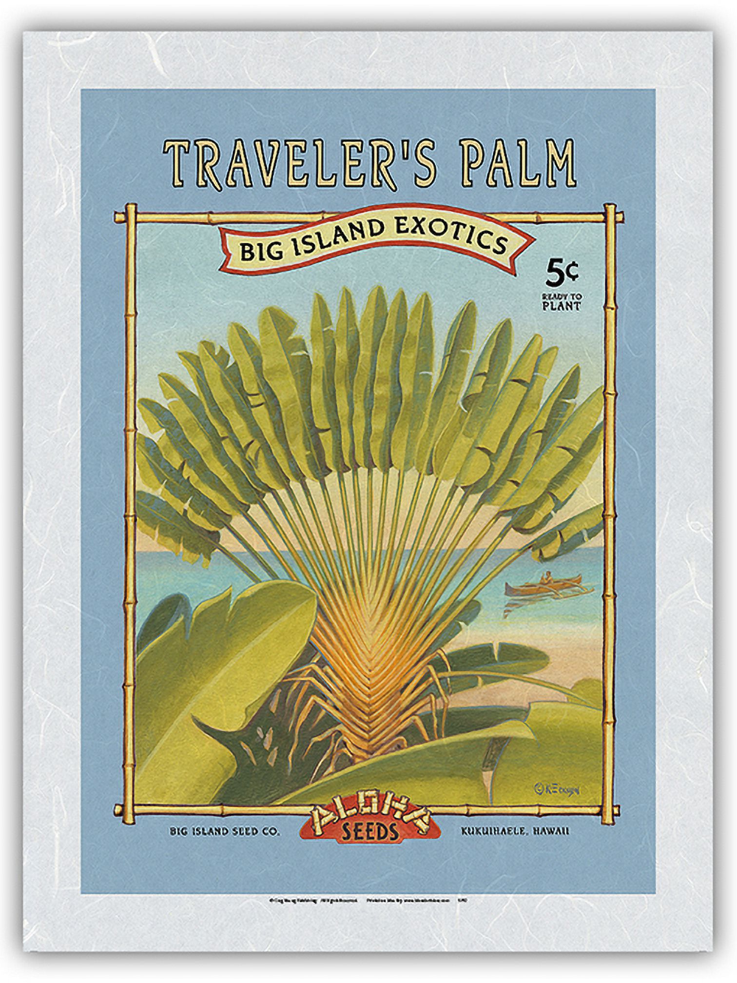 Traveler's Palm - Aloha Seeds - Big Island Seed Company - Big Island ...