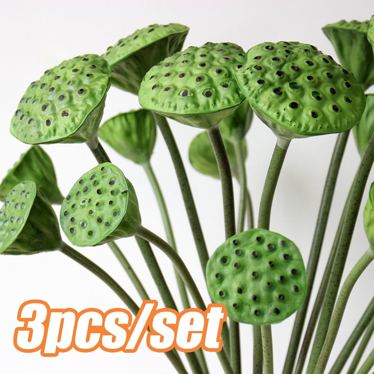 Travelwant 3Packs New Small Natural Flower Original Ecological Natural ...
